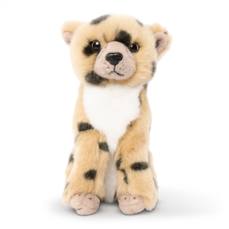 Buy Living Nature Sitting Cheetah Cub Online | Sanity