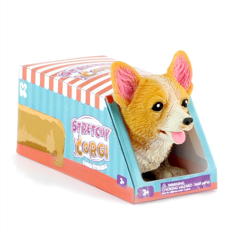 Buy Squidgy Corgi Online | Sanity