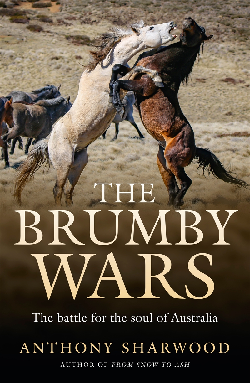Buy The Brumby Wars Online | Sanity