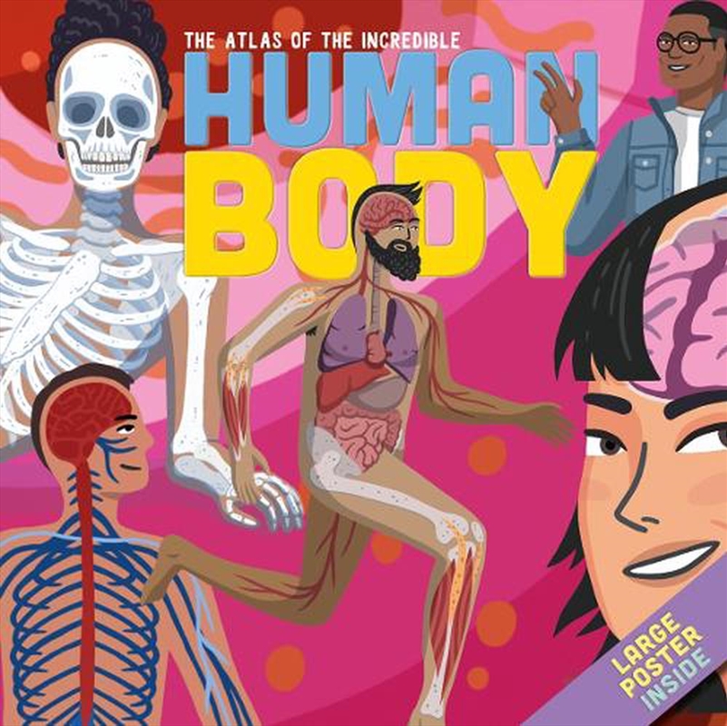 Buy Atlas of the Incredible Human Body Online | Sanity
