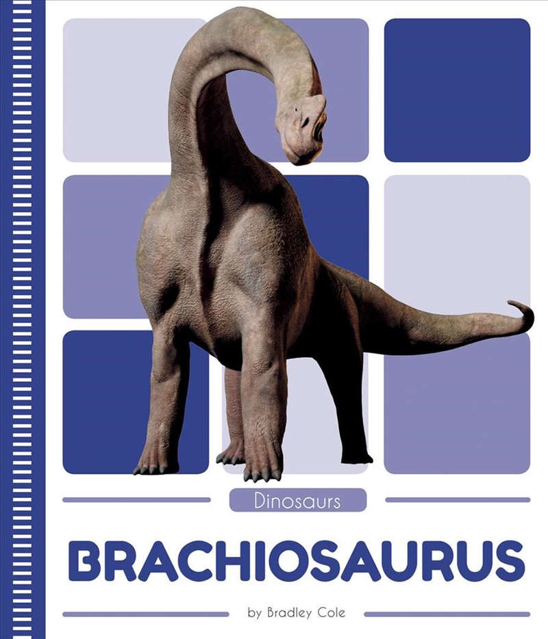 Buy Dinosaurs: Brachiosaurus Online | Sanity