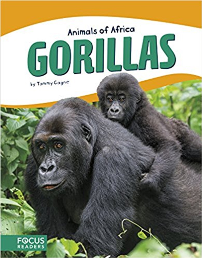 Buy Animals of Africa: Gorillas Online | Sanity
