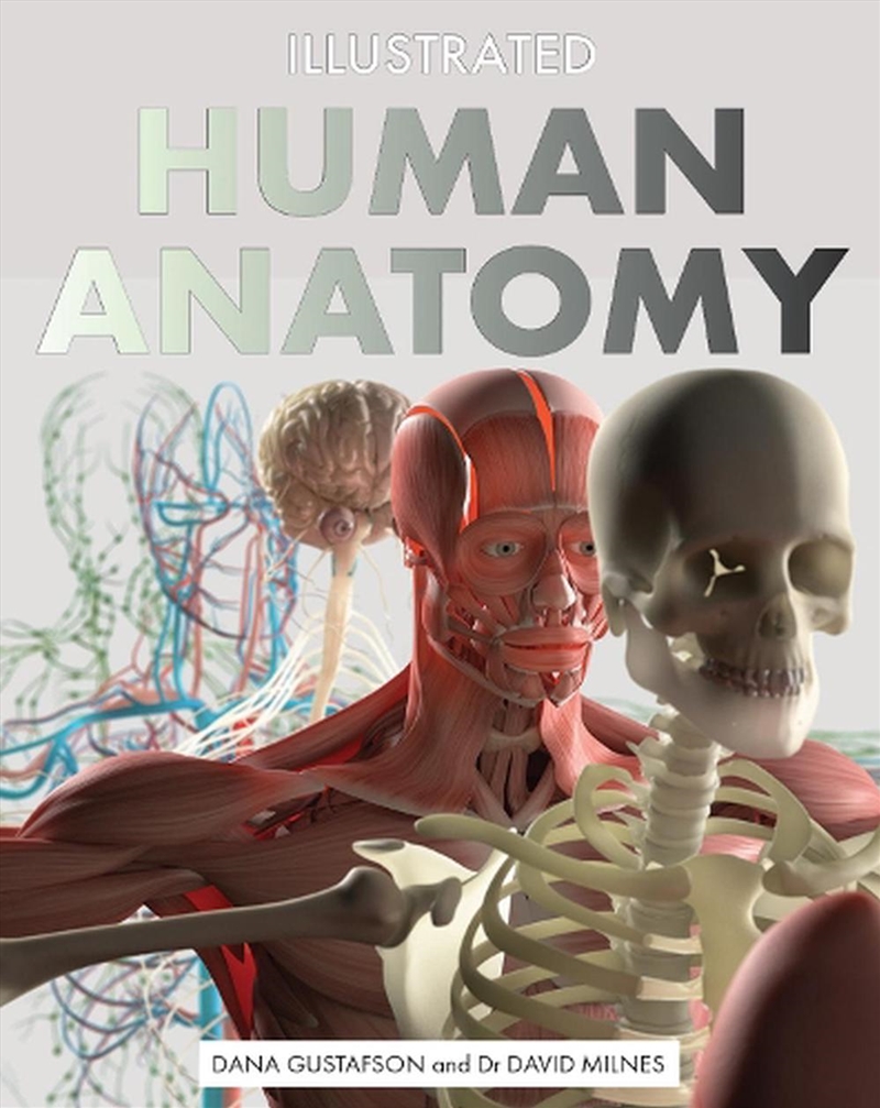 Buy Illustrated Human Anatomy Online | Sanity