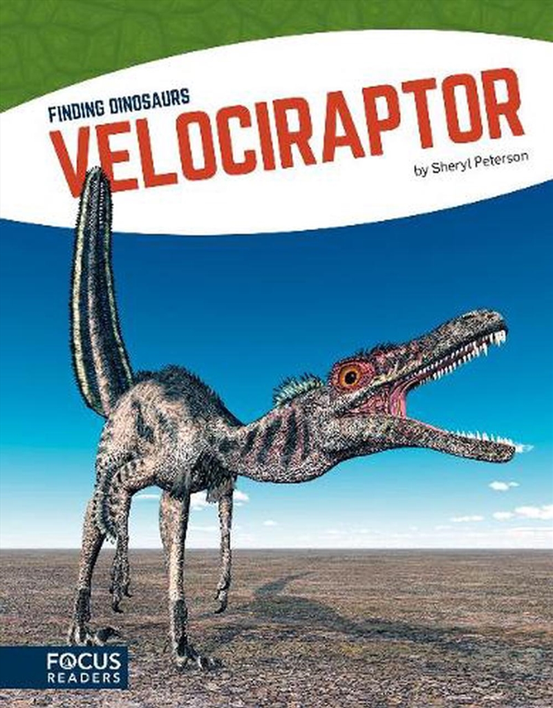 Sheryl Peterson - Finding Dinosaurs - Velociraptor - 9781635175097 | Sanity