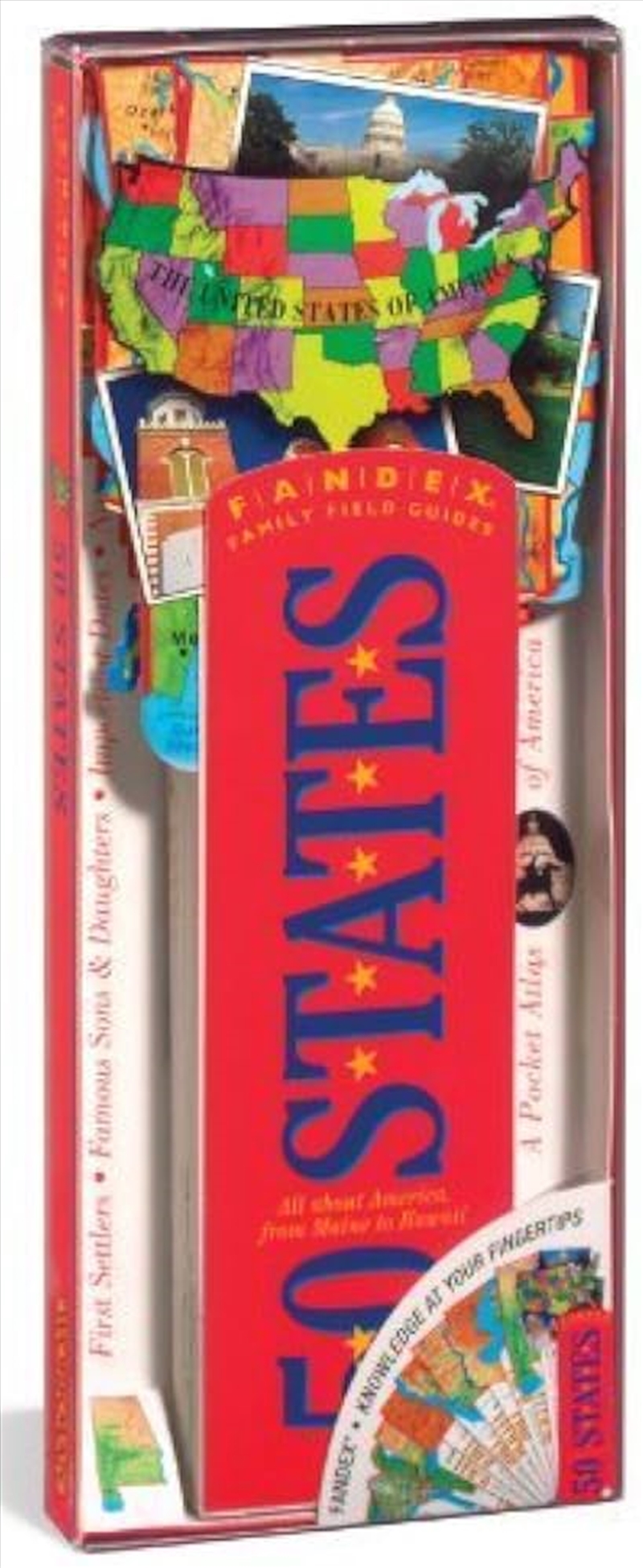 Buy Fandex Kids: States Online | Sanity