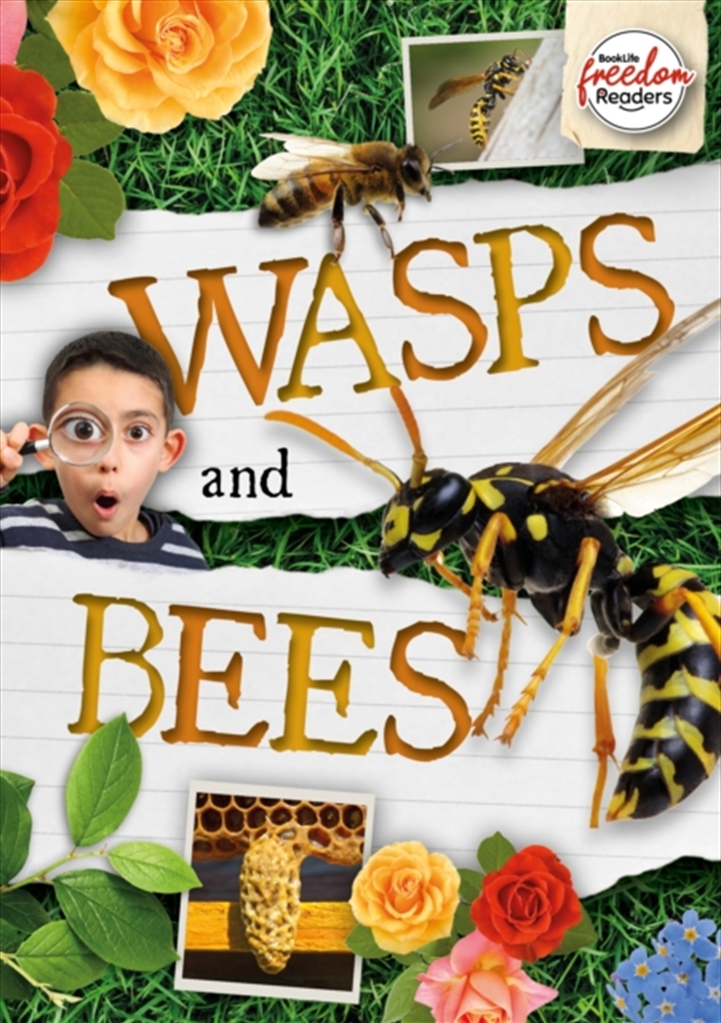 Buy Wasps and Bees Online | Sanity