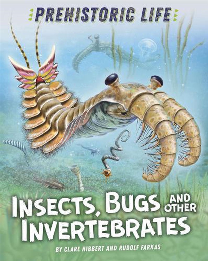 Buy Clare Hibbert - Prehistoric Life: Insects, Bugs And Other ...