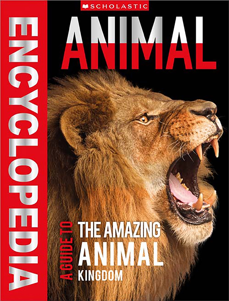 Buy A Guide to the Amazing Animal Kingdom (Animal Encyclopedia: Miles ...