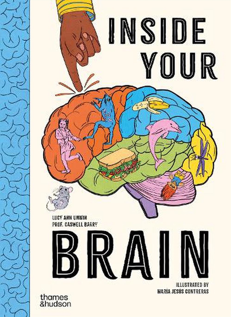 Buy Inside Your Brain Online | Sanity