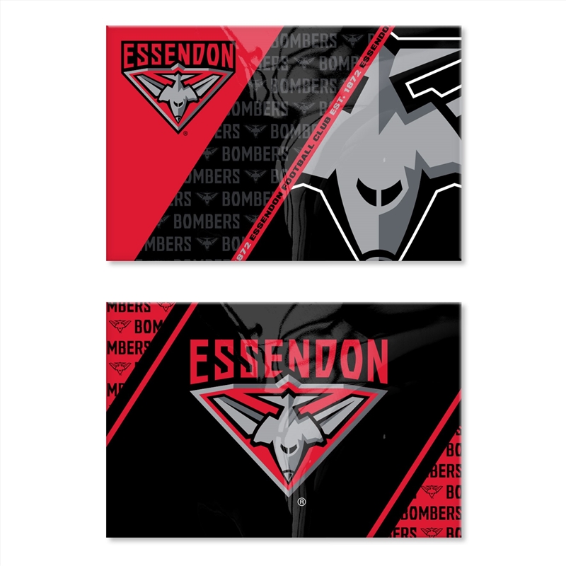 Buy AFL: Essendon - Set Of 2 Magnets Online | Sanity
