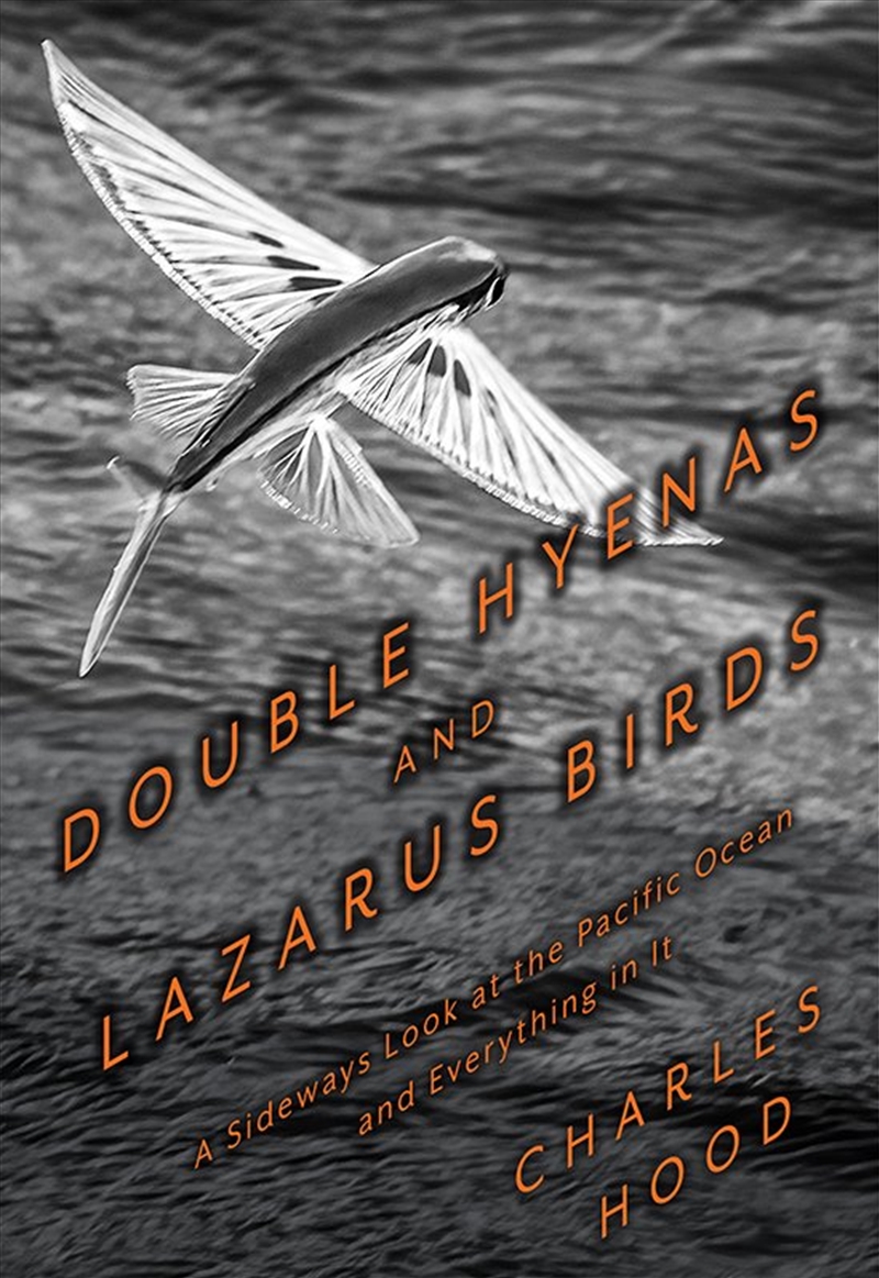 Buy Double Hyenas and Lazarus Birds Online | Sanity