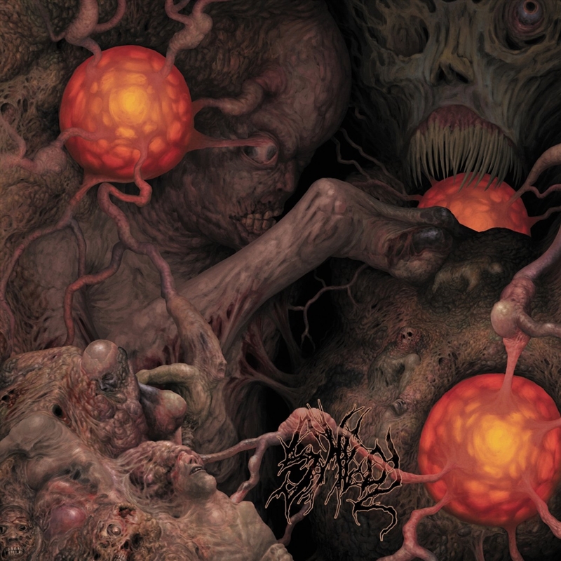 Buy Sheol 4-Way Split Online | Sanity