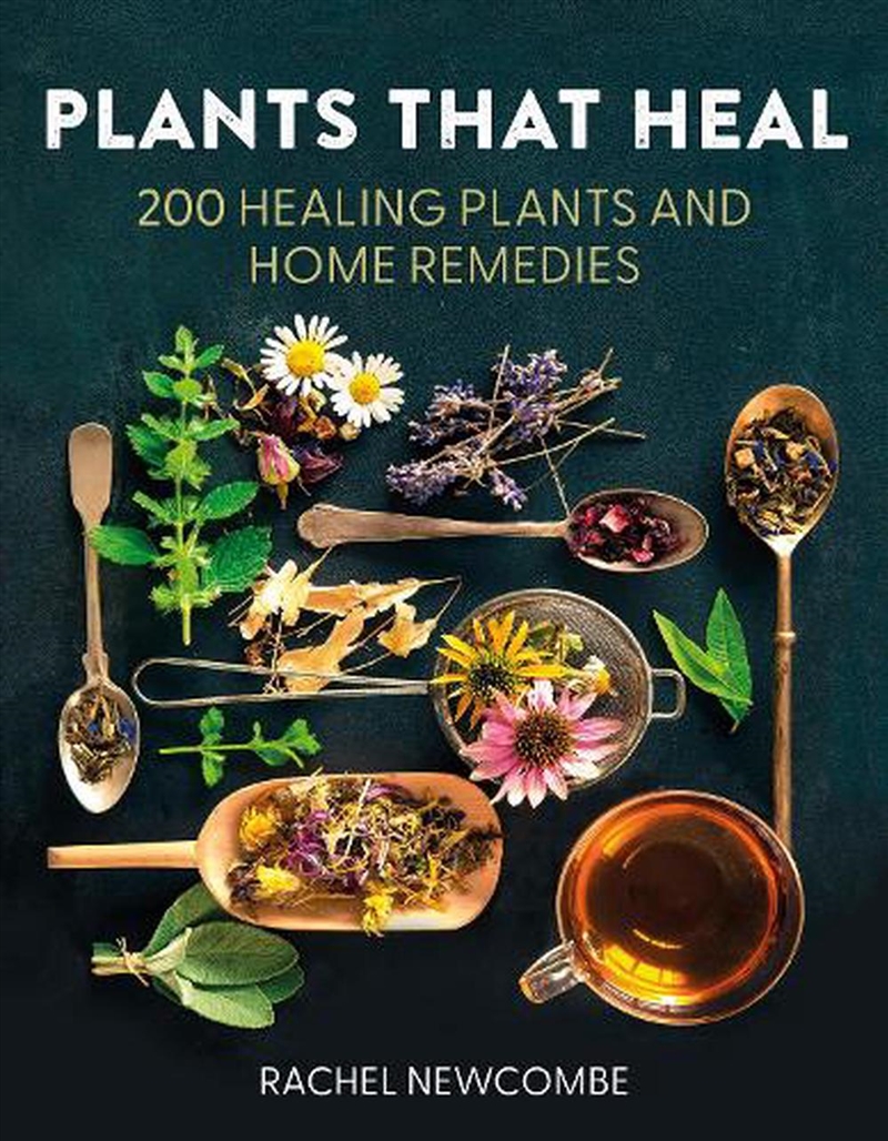 Buy Plants That Heal Online | Sanity
