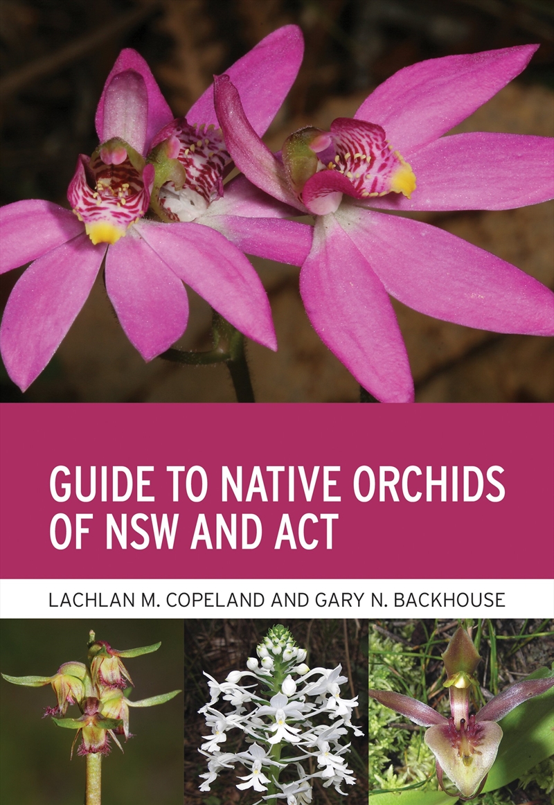 Buy Guide to Native Orchids of NSW and ACT Online | Sanity