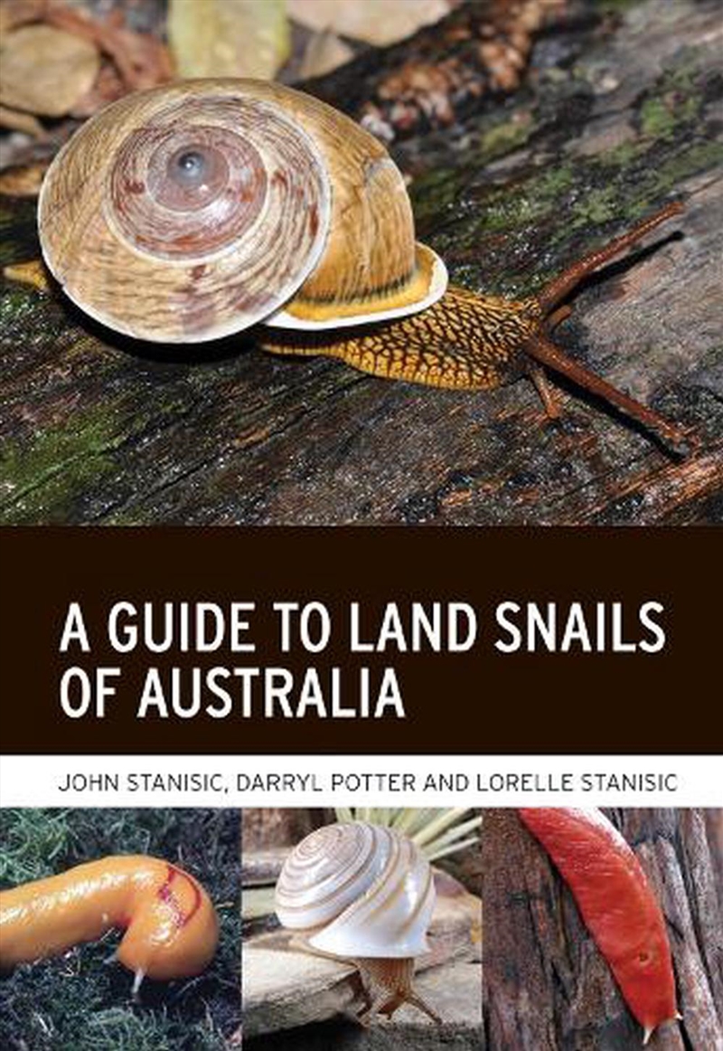 John Stanisic - A Guide to Land Snails of Australia - 9781486313525 ...