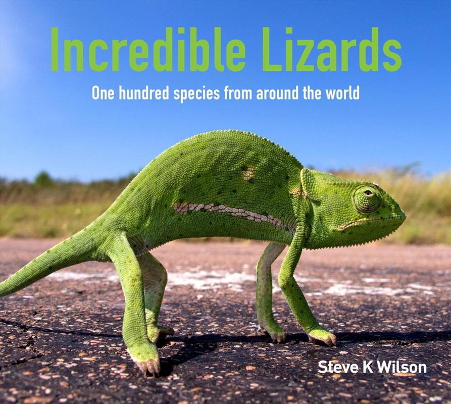 Buy Incredible Lizards Online | Sanity