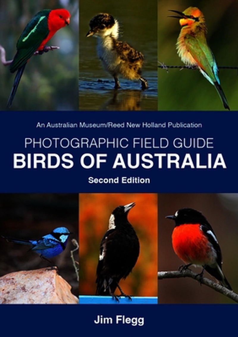Buy Photographic Field Guide Birds of Australia Online | Sanity