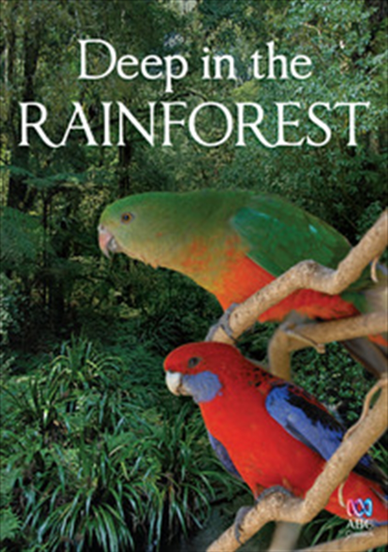 Buy Deep In The Rainforest Online | Sanity