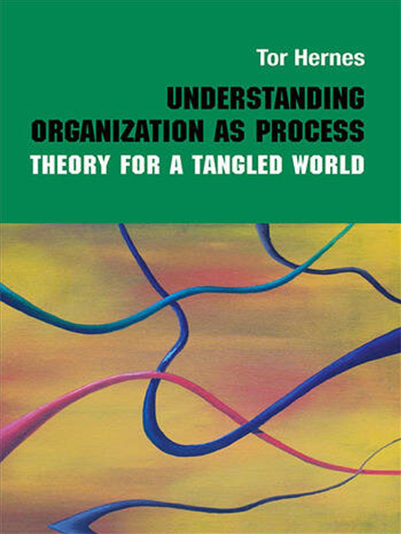 Buy Understanding Organization as Process Online | Sanity