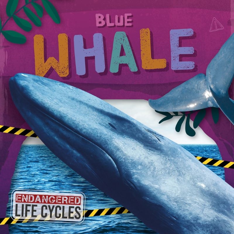 E. Andrews C. - Endangered Life Cycles: Blue Whale - 9798893593938 | Sanity