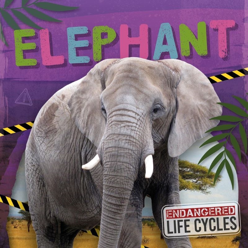 Buy Endangered Life Cycles: Elephant Online | Sanity