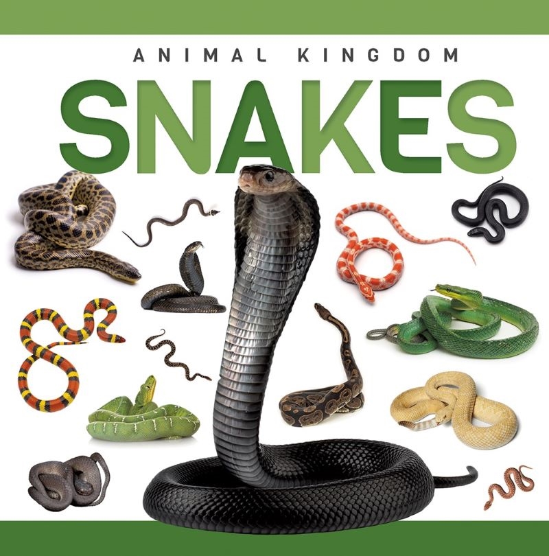 Buy Genius Kid: Animal Kingdom: Snakes Online | Sanity