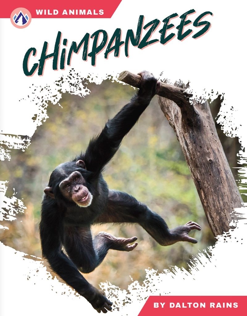Buy Wild Animals: Chimpanzees Online | Sanity