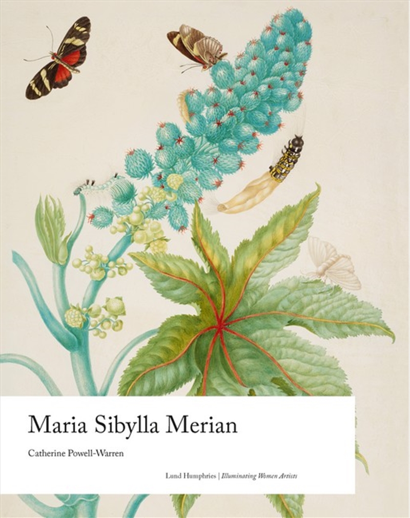 Buy Maria Sibylla Merian Online | Sanity