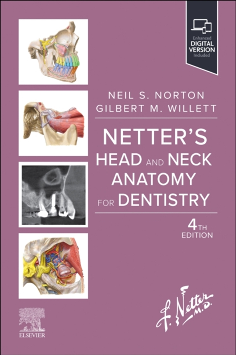 Buy Netter's Head and Neck Anatomy for Dentistry Online | Sanity