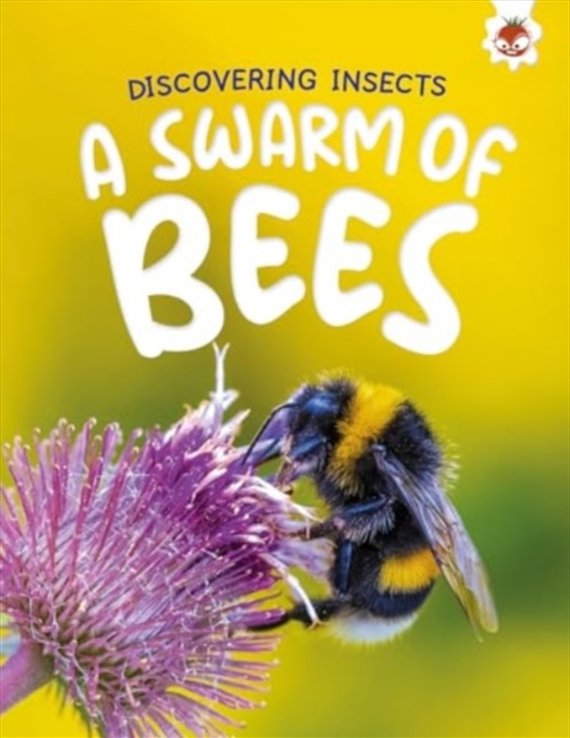 Buy Discovering Insects: A Swarm of Bees Online | Sanity