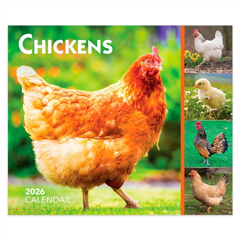 Buy Chickens 2026 Boxed Calendar Online | Sanity