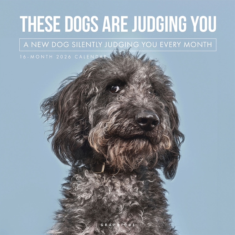 Buy Judging Dogs 2026 Square Calendar Online | Sanity