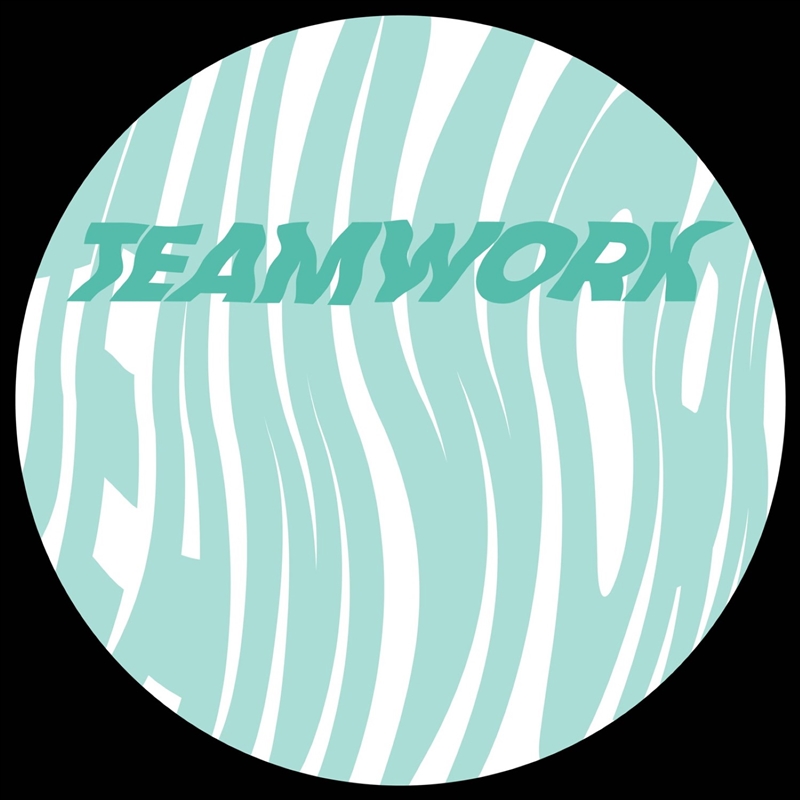 Buy Teamwork, Vol. Ii Online | Sanity