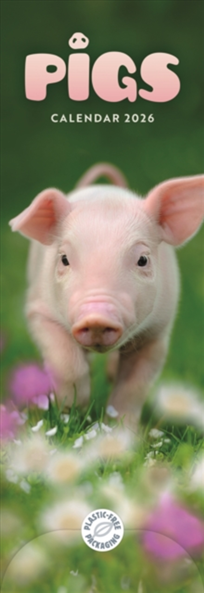 Pigs Slim Calendar 2026 | Sanity