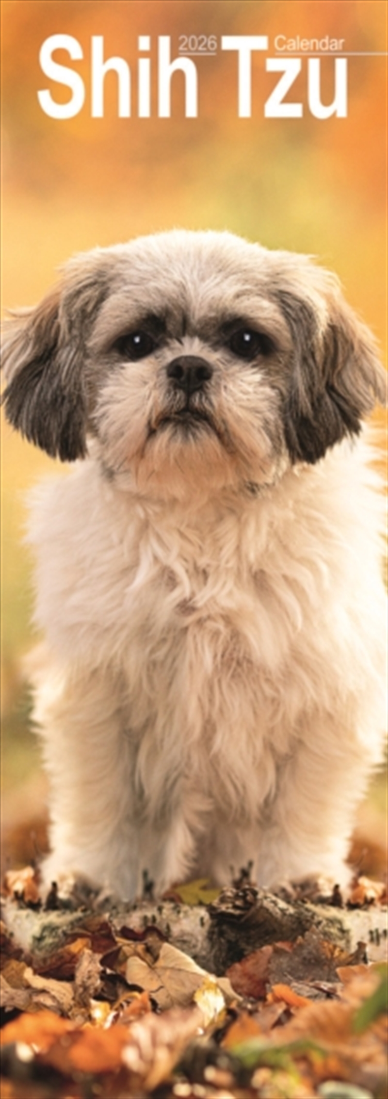 Shih Tzu Slim Calendar 2026 Dog Breed Slimline Calendar - 12 Month | Sanity