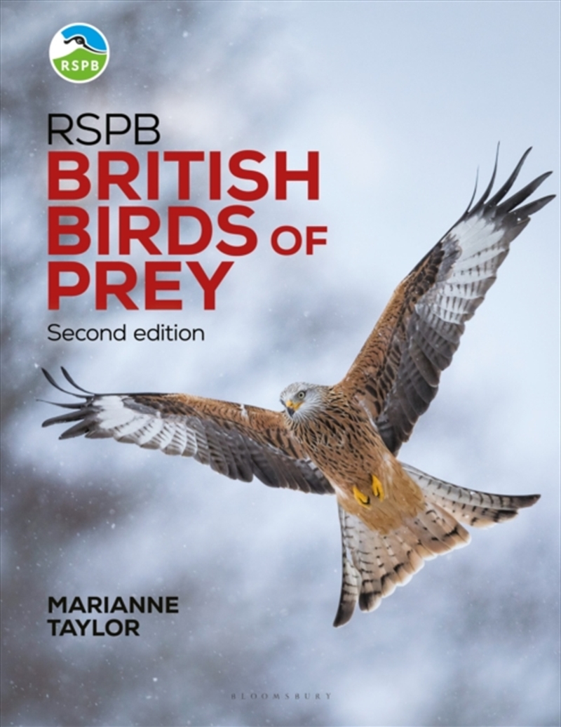 Buy RSPB British Birds of Prey Online | Sanity