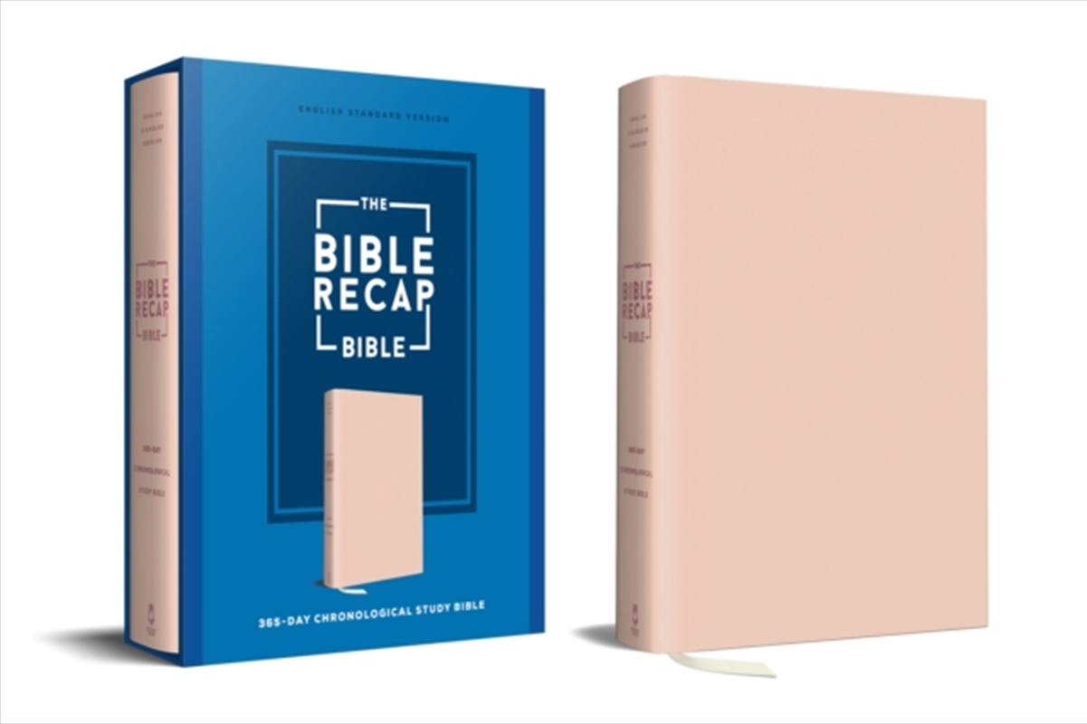 Buy Tara-Leigh Cobble - The Bible Recap 365-Day Chronological Study ...