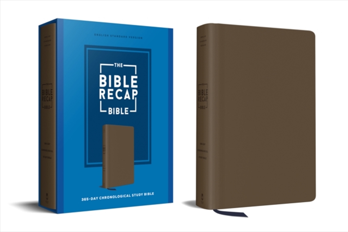 Buy The Bible Recap 365-Day Chronological Study Bible : English ...