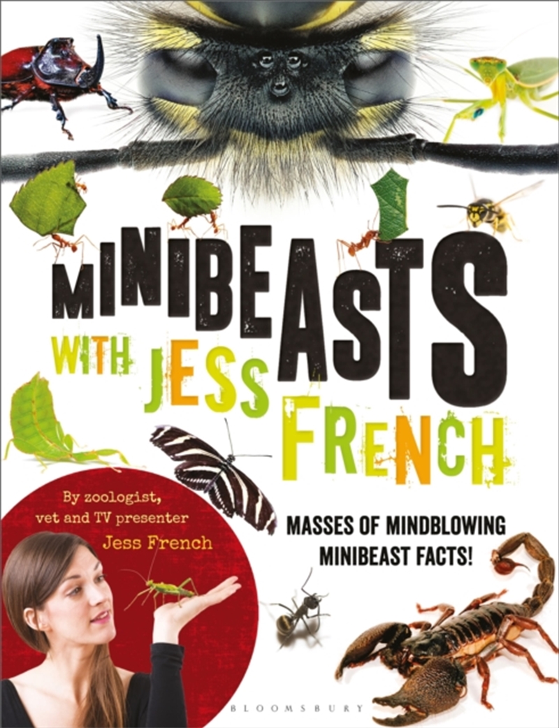 Buy Minibeasts With Jess French : Masses Of Mindblowing Minibeast Facts ...