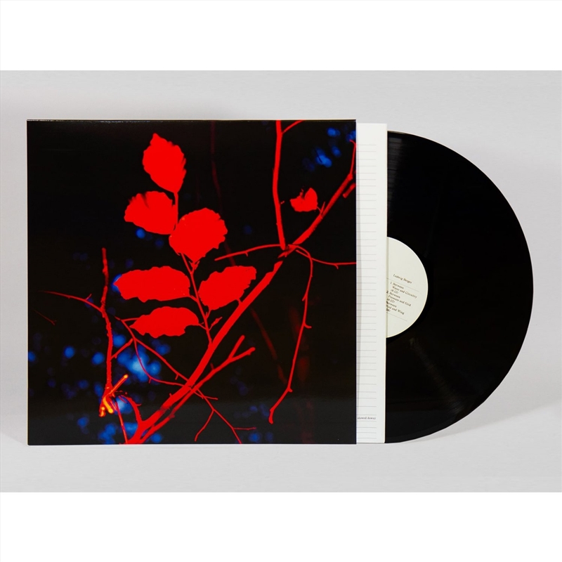 Buy Ecotonalities: No Other Home Than The In-Between Online | Sanity