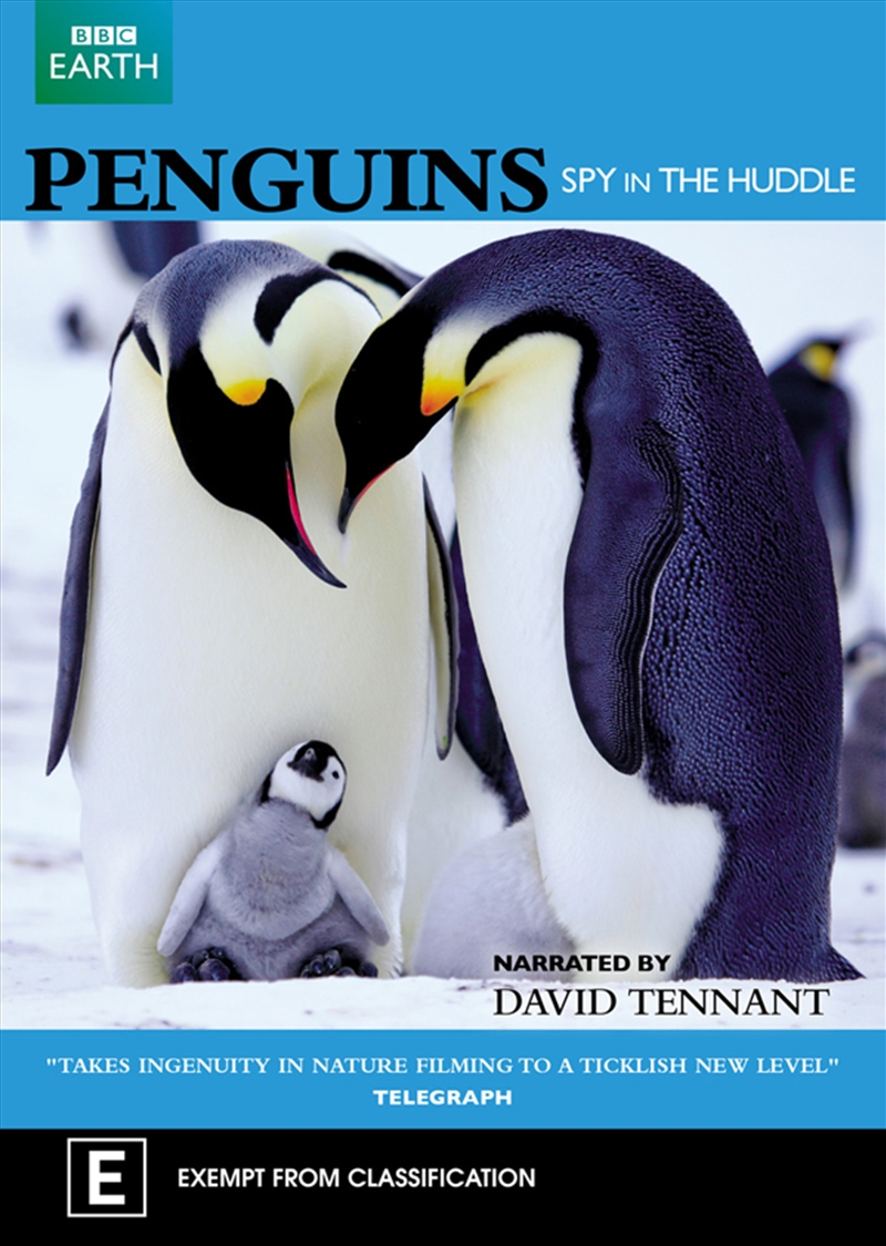 Buy Penguins: Spy In The Huddle on DVD | Sanity