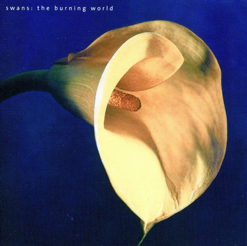 Buy Burning World Online | Sanity