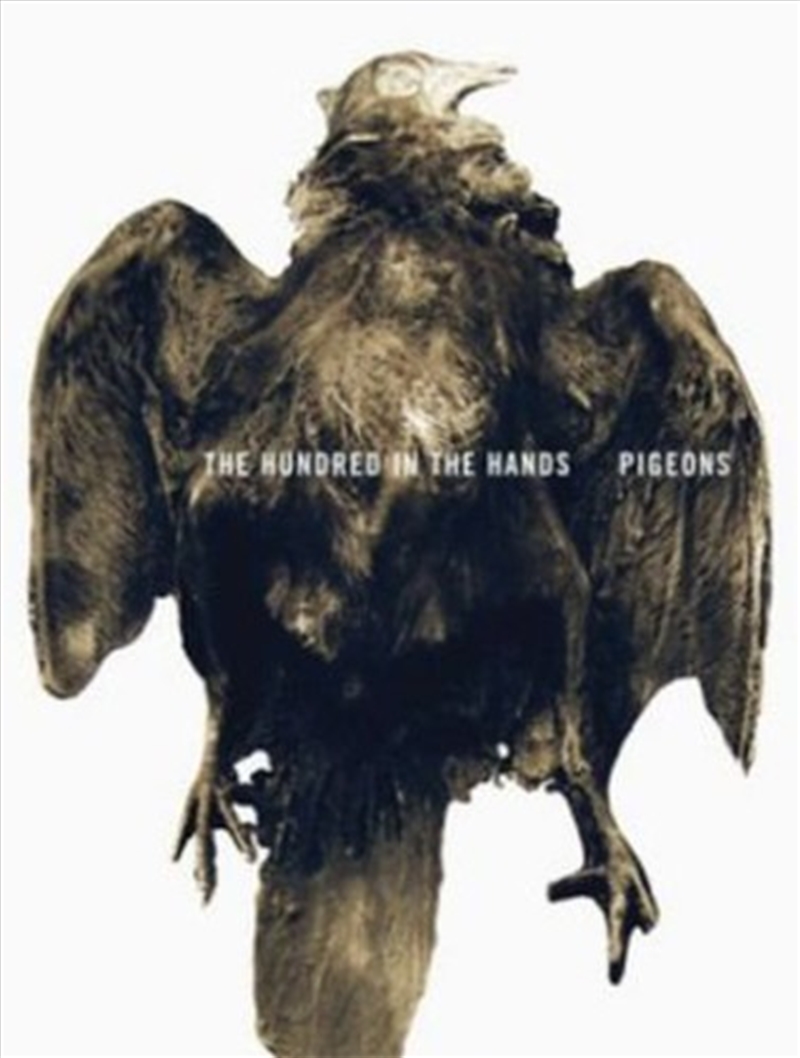 Buy Pigeons Online | Sanity