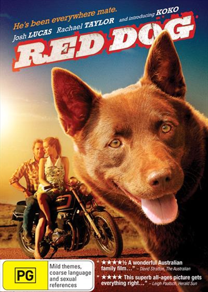 Buy Red Dog DVD Online | Sanity