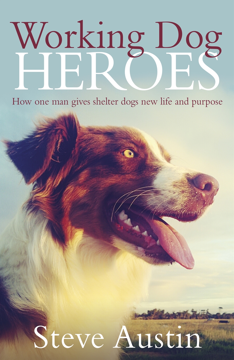 Buy Working Dog Heroes Online | Sanity