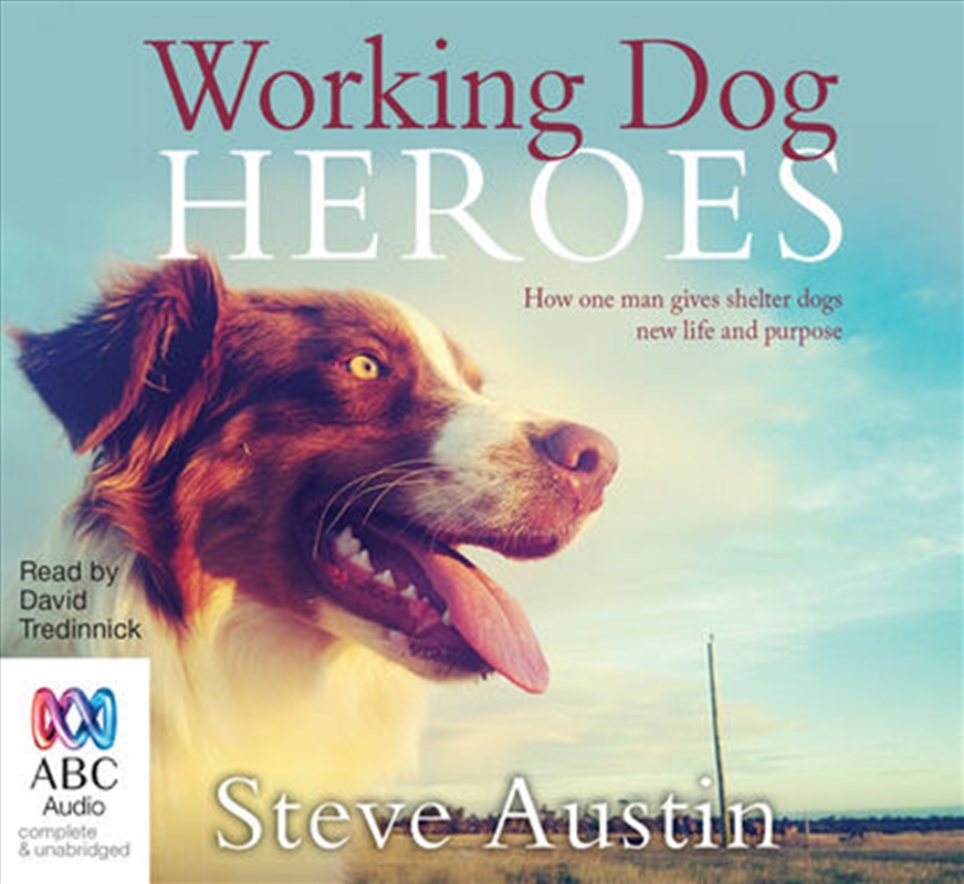 Buy Working Dog Heroes by Steve Austin, Audio Books | Sanity