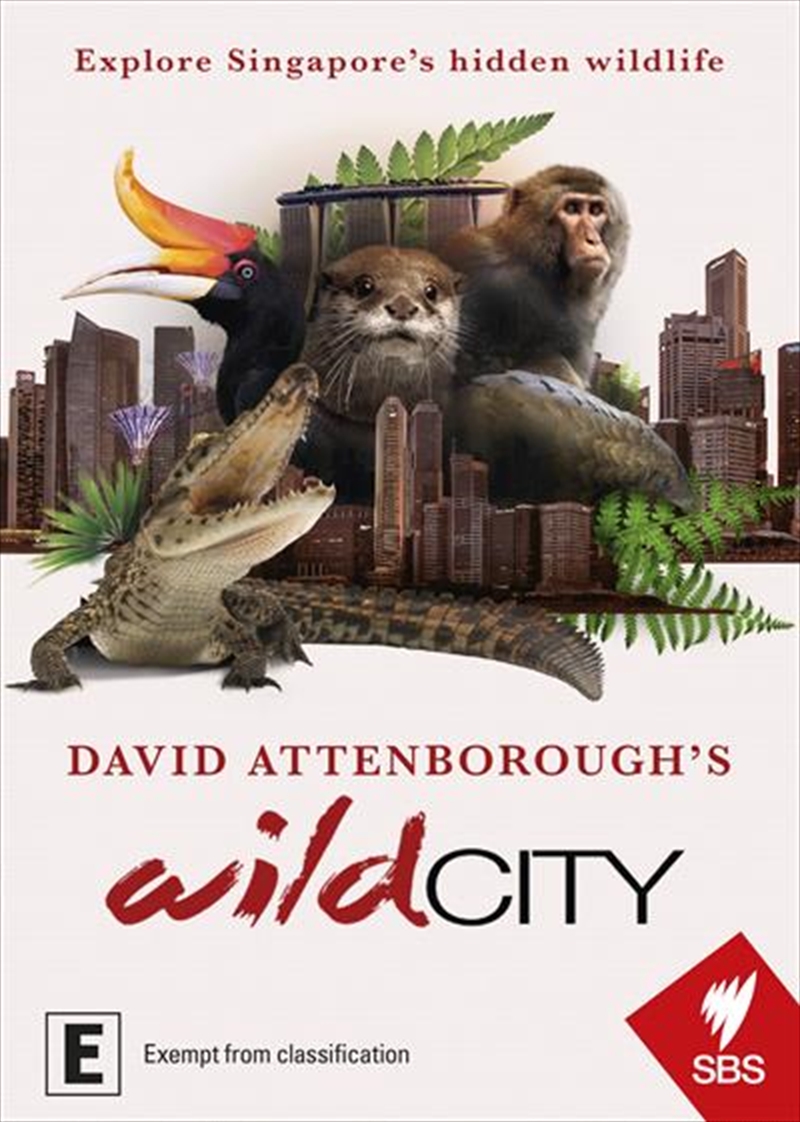 Buy David Attenborough's Wild City on DVD | Sanity