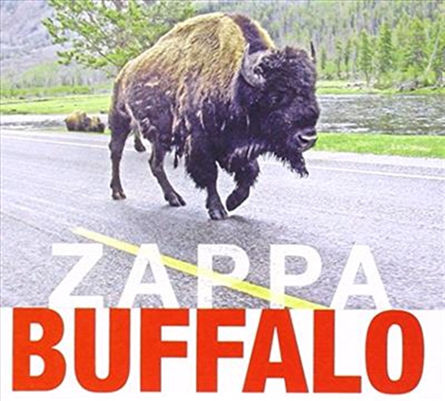 Buy Buffalo Online | Sanity
