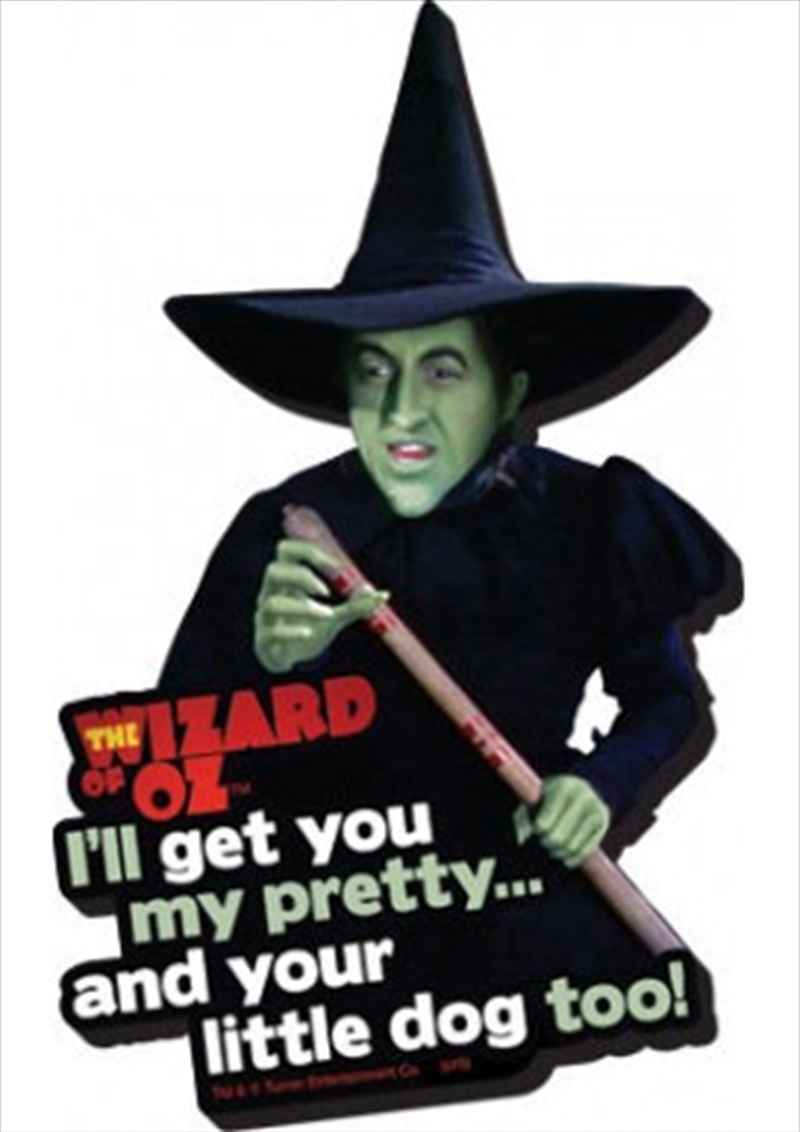 Buy The Wizard Of Oz Witch Chunky Magnet Online | Sanity