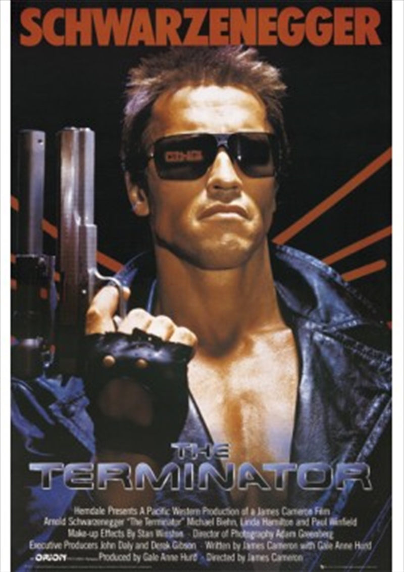 Buy The Terminator One Sheet Poster in Posters | Sanity